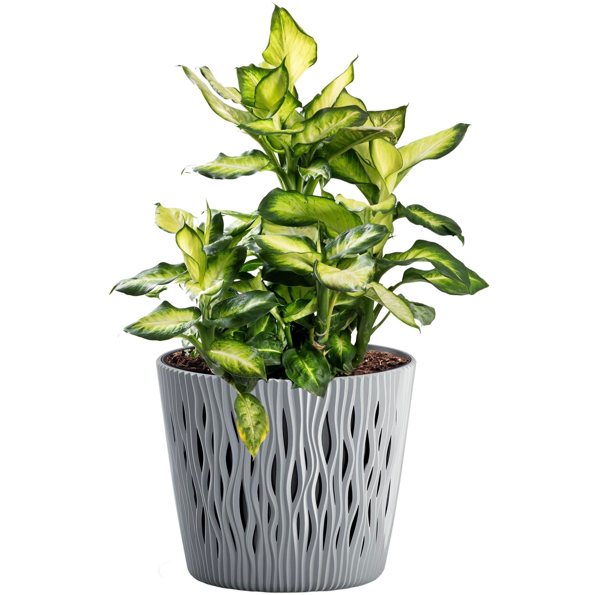 Ghiveci, Prosperplast, 11.1x12.8 cm, Negru/Gri - eMAG.ro