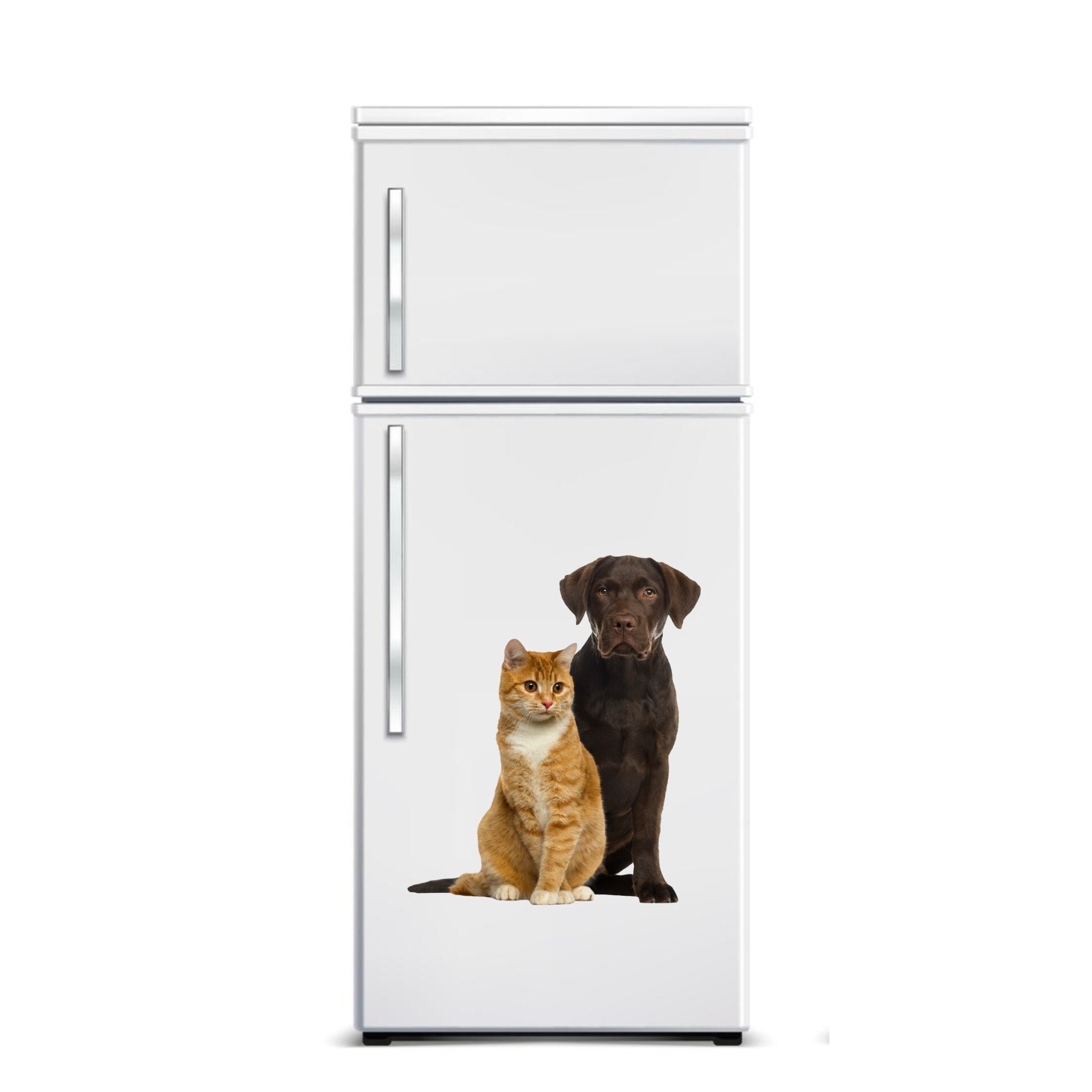 Sticker decorativ pentru perete Catel si Pisica 3d, v2 40 cm - eMAG.ro