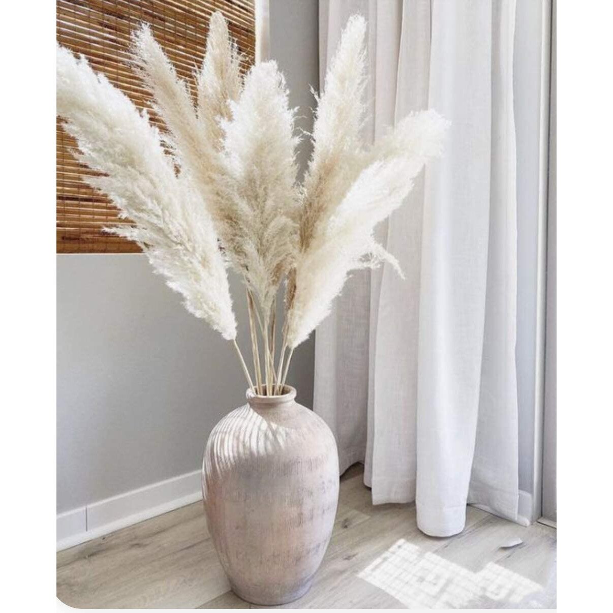 Iarba inalta de pampas, uscata, conservata natural, 120cm, Alb imaculat ...