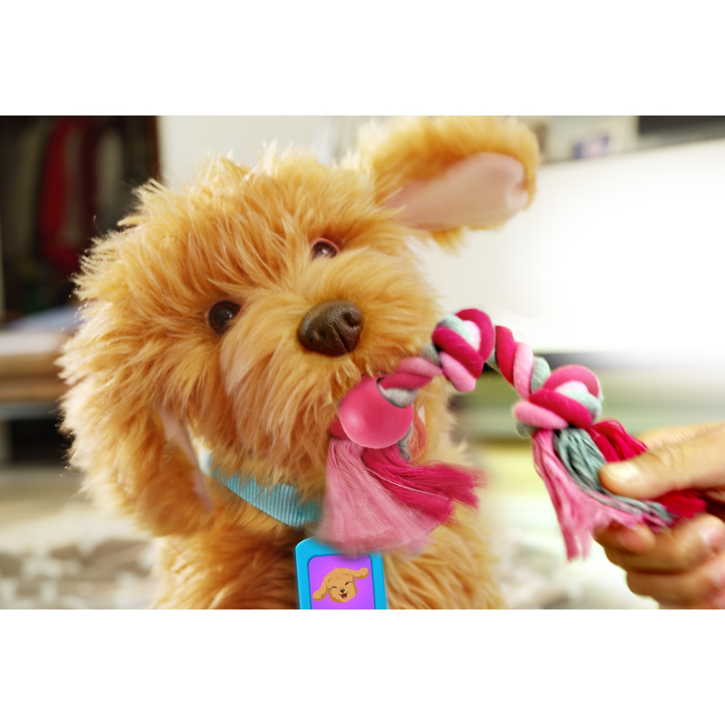 Moji dog, plush toy, plush with functions and 150 reaction - eMAG.ro