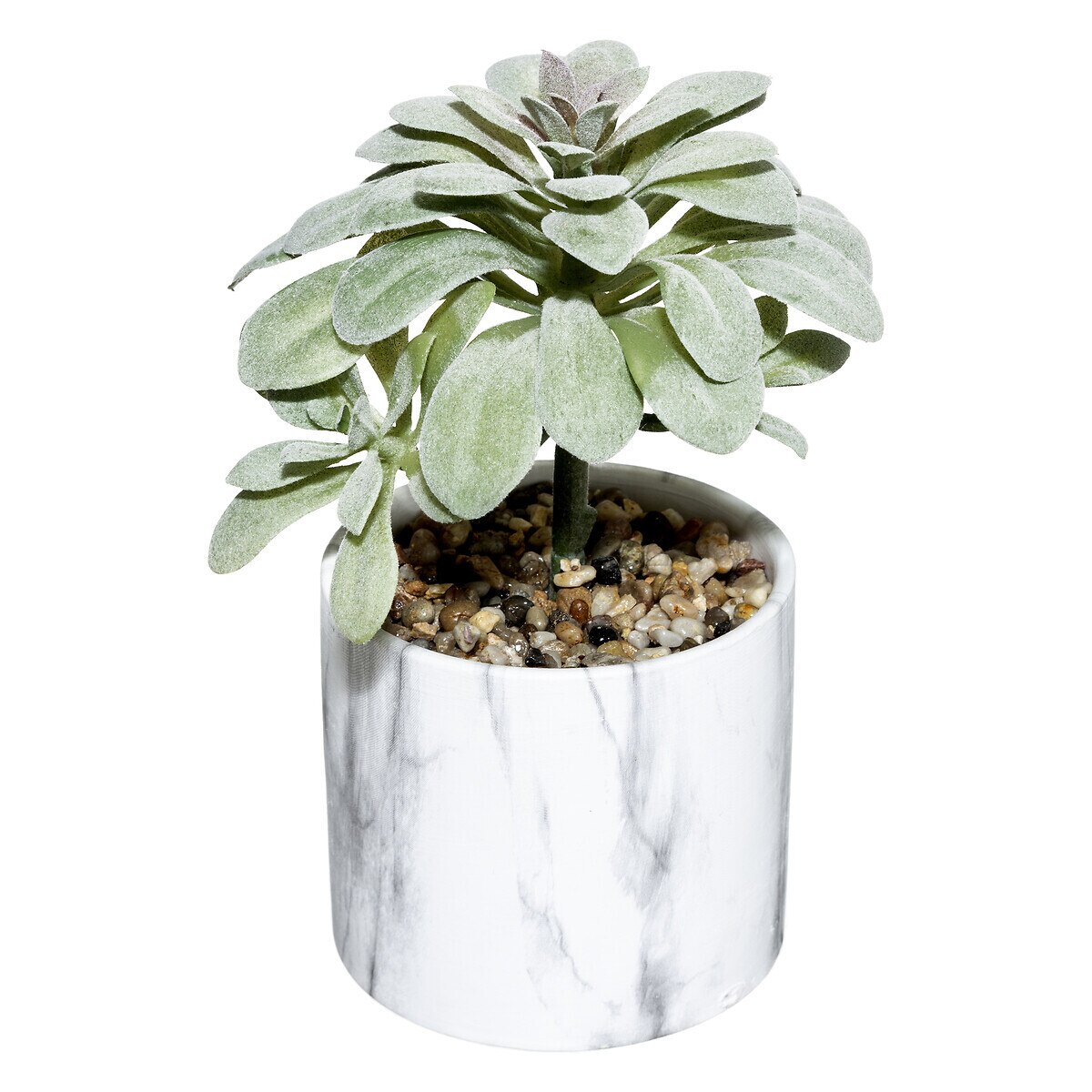 Decoratiune Clopot sticla, baza metalica si planta decorativa,15.3 cm x ...