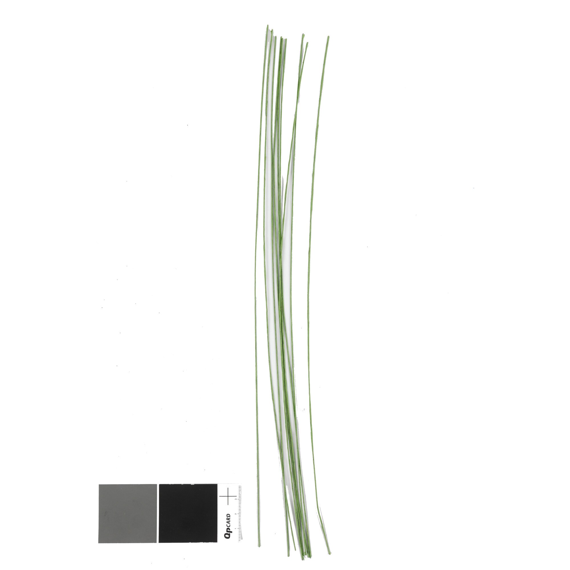 Set 20 tulpini florale sarma verde L 30 cm 610350 - eMAG.ro