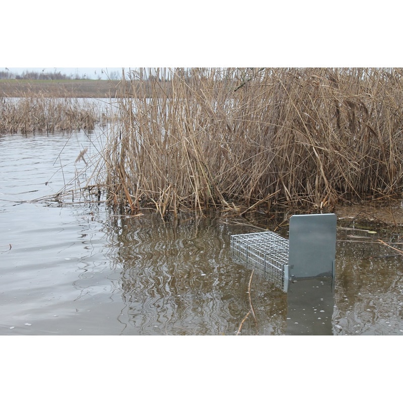 Capcana Profesionala Vulpi, Lupi, Caini, Pisici, Dihori, Castori si ...