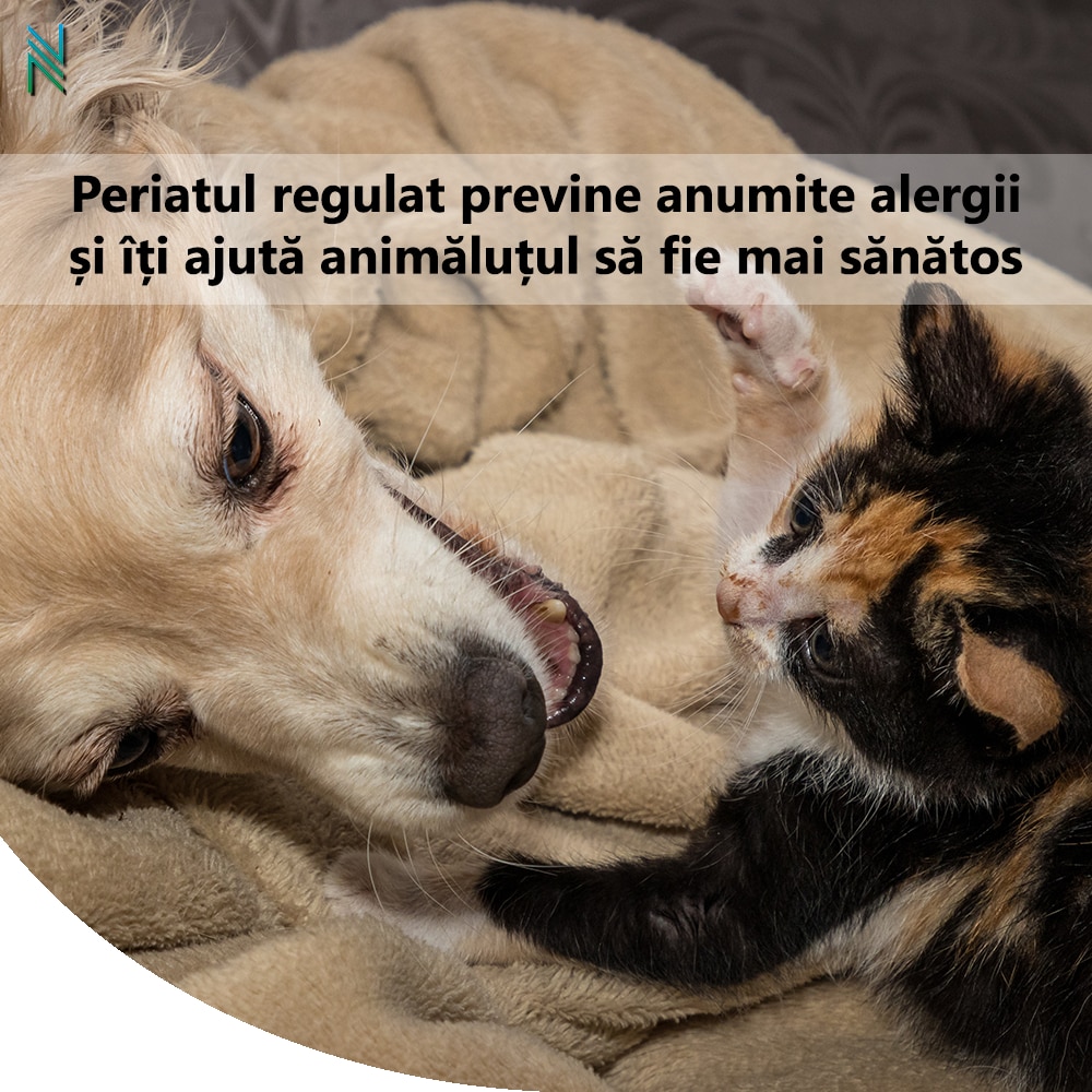 Perie par Caini, Pisici, Animale, NIMOX®, Tesala si Perie trimmer 2 in ...