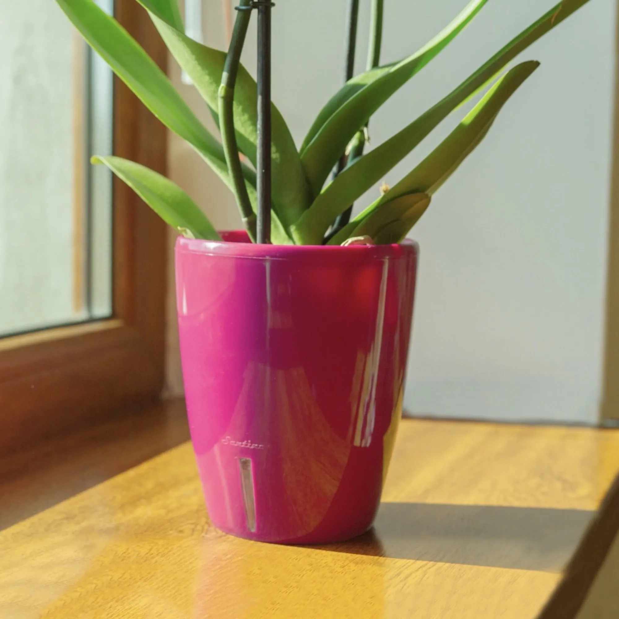 Ghiveci inteligent pentru orhidee, Orhidea Twin, cu volumul de 3L ...