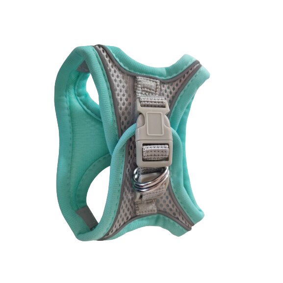 Ham catei, talie mica, turcoaz, XXS - eMAG.ro