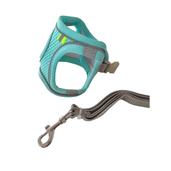 Ham catei, talie mica, turcoaz, XXS - eMAG.ro