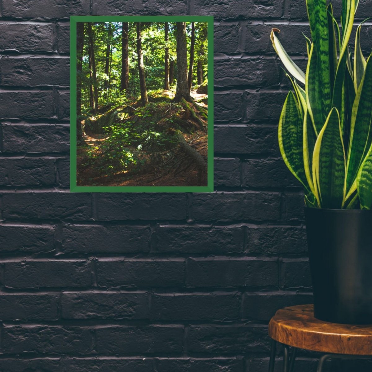 Rama foto 40x50 cm verde - eMAG.ro