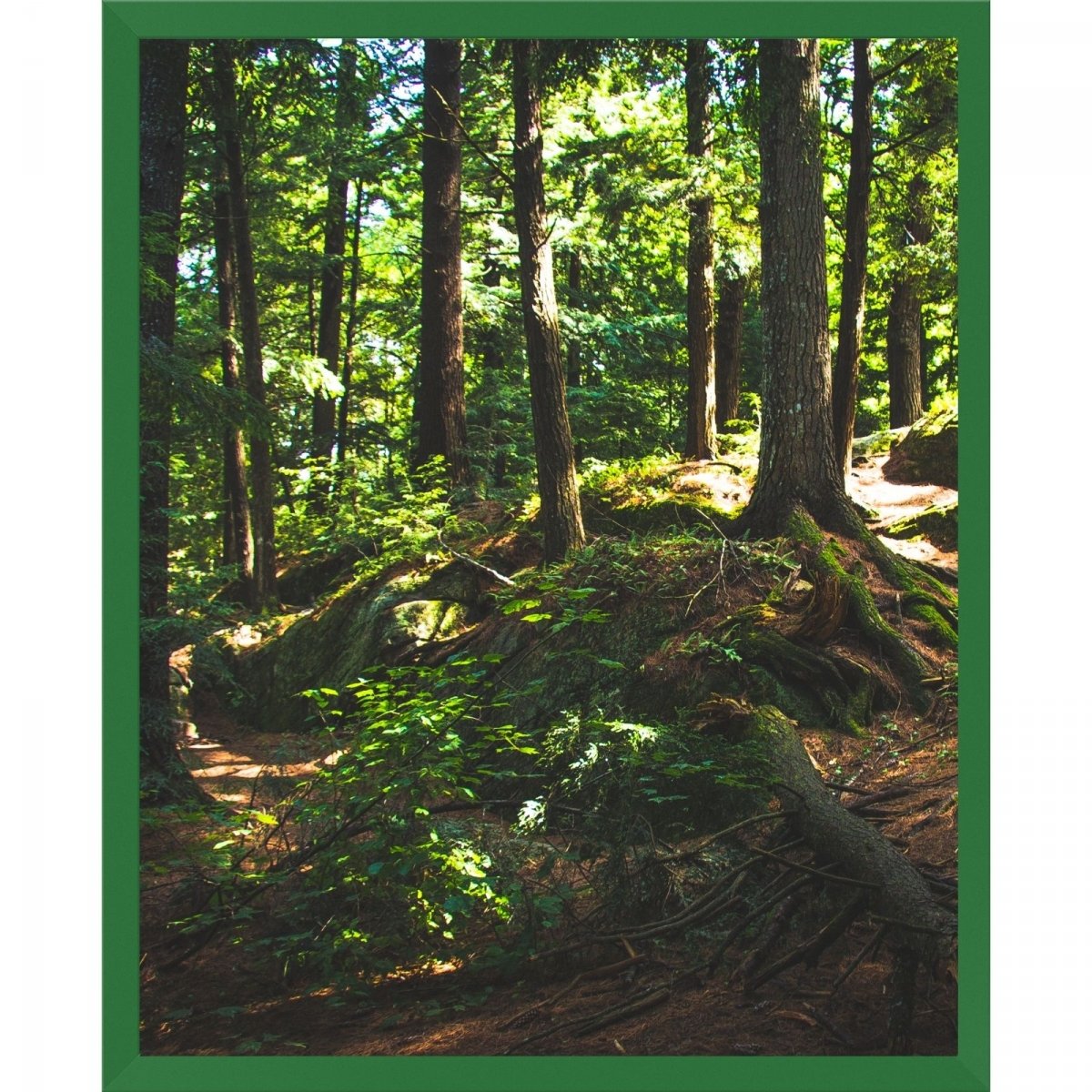 Rama foto 40x50 cm verde - eMAG.ro