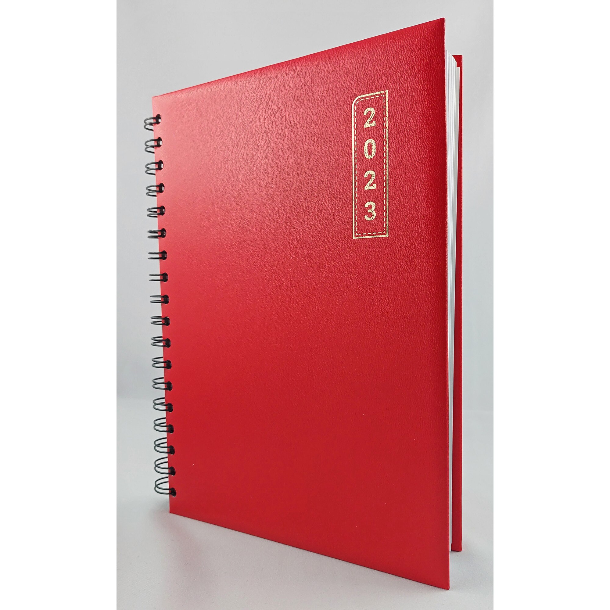 Agenda datata 2023 pentru programari, format B5, 17 x 24 cm, 184 pagini ...