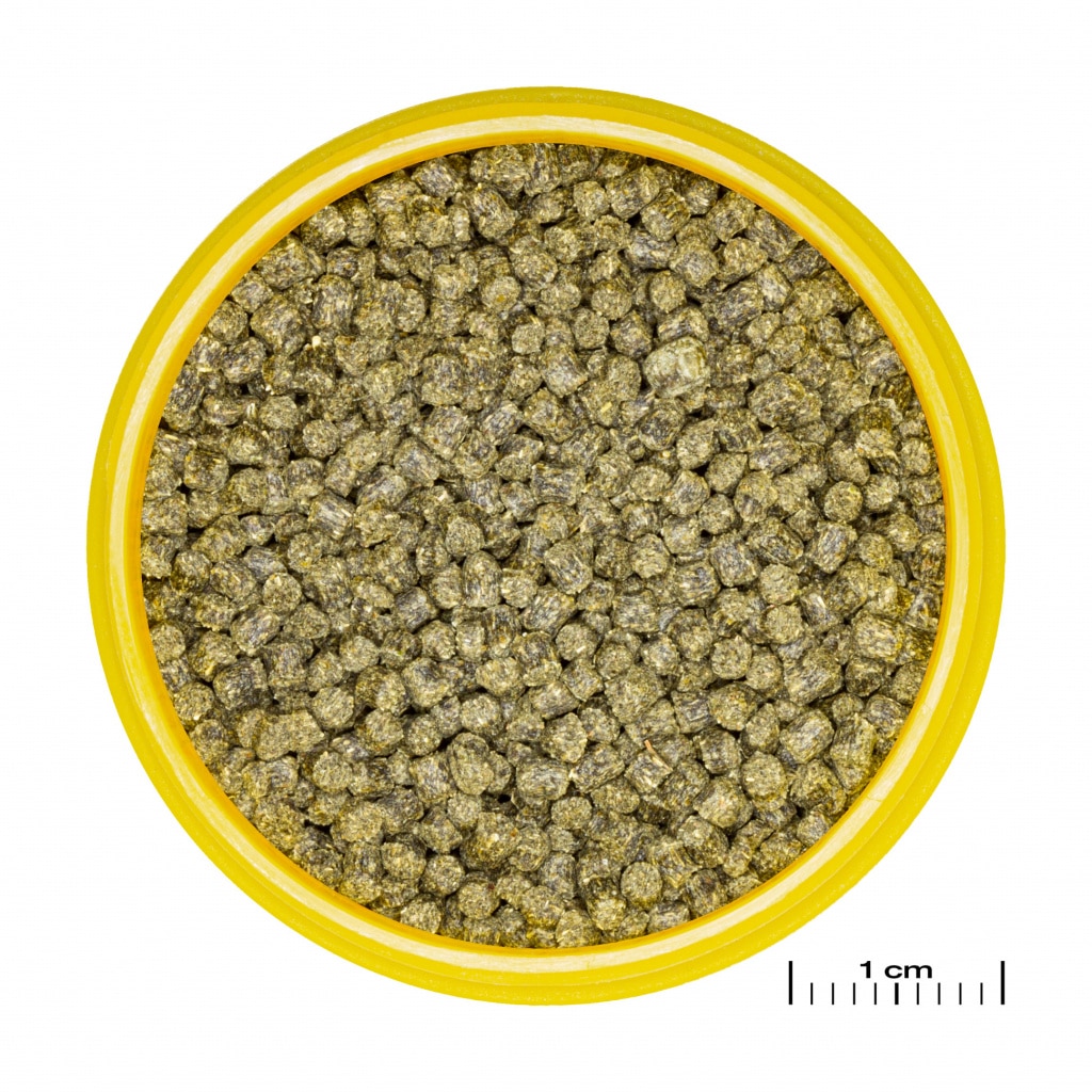 Hrana creveti acvariu JBL ProNovo SHRIMPS GRANO S 100 ml CLICK - eMAG.ro