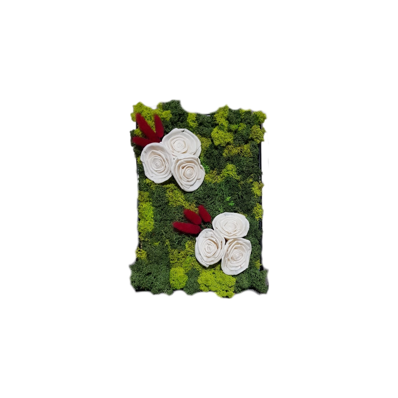 Rama foto cu licheni stabilizati si flori 30 x 22 x 7 cm - eMAG.ro