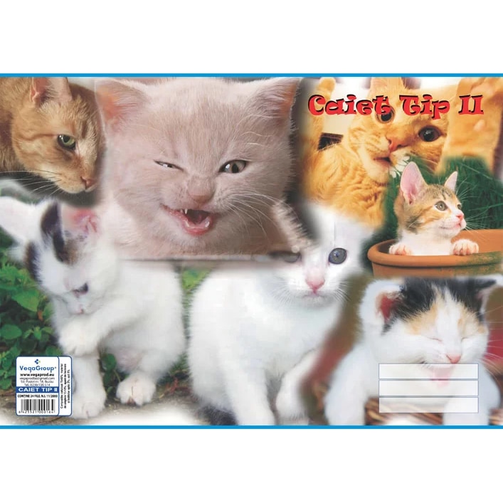 Set Caiet TIP 2, coperta policromie, 5buc - eMAG.ro