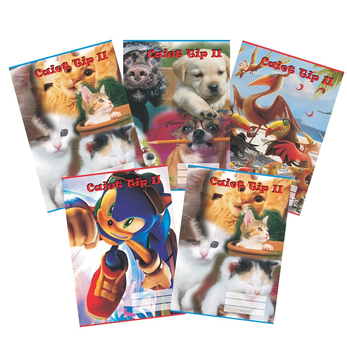 Set Caiet TIP 2, coperta policromie, 5buc - eMAG.ro