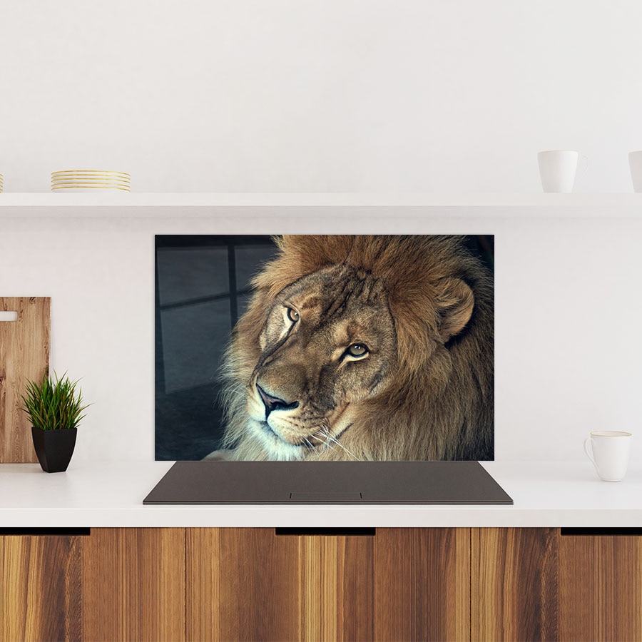 Panou Sticla Bucatarie, African Lion, 70x100cm - eMAG.ro