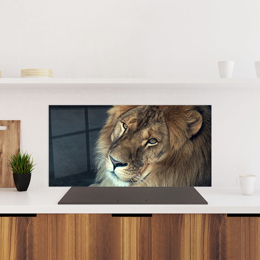 Panou Sticla Bucatarie, African Lion, 60x120cm - eMAG.ro