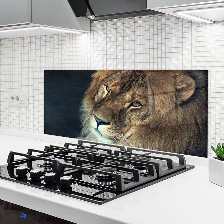 Panou Sticla Bucatarie, African Lion, 60x120cm - eMAG.ro
