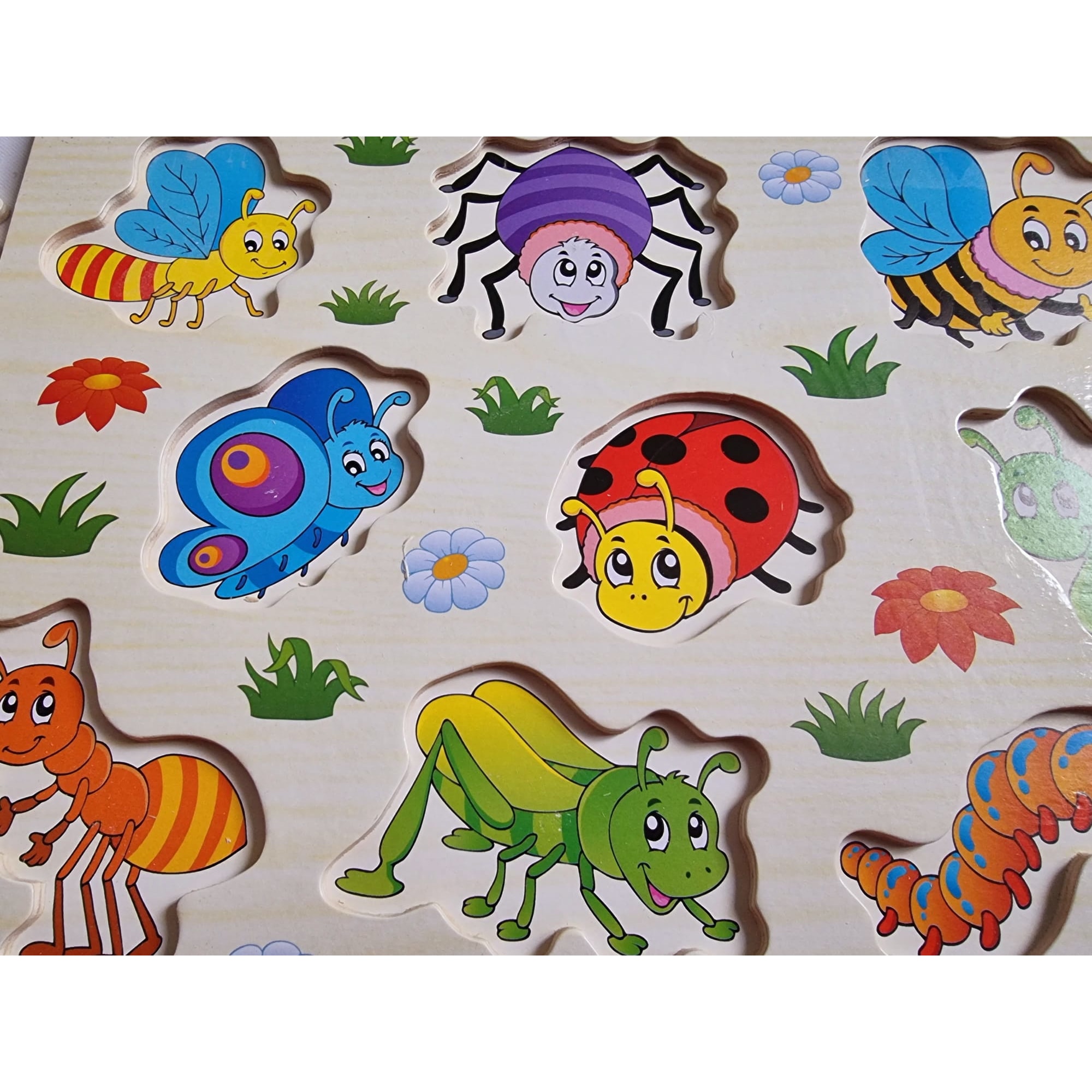 Puzzle din Lemn cu incastru, Insecte, Montessori, 9 piese - eMAG.ro