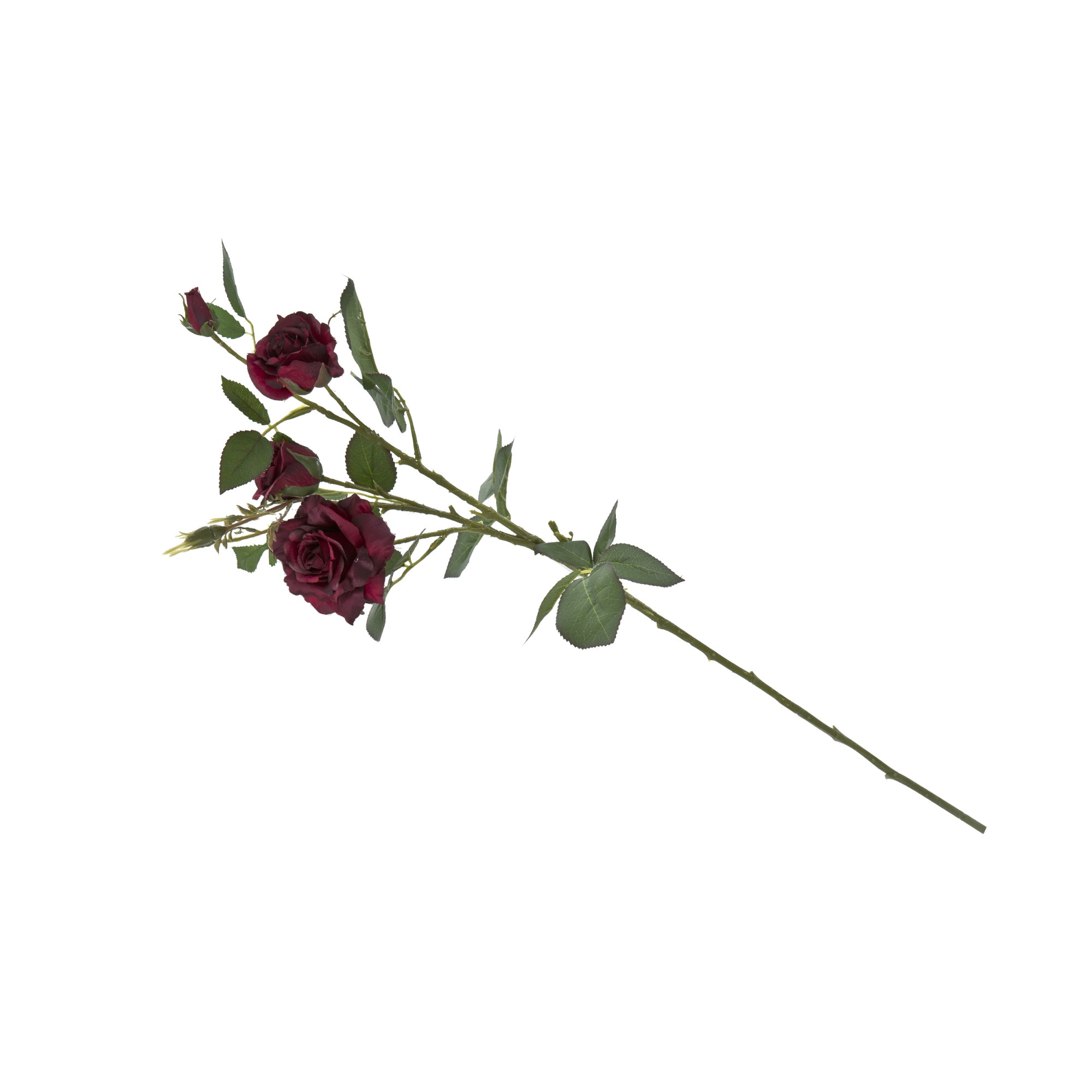 Planta decorativa, Inna, Trandafir, Rosu, Verde - eMAG.ro