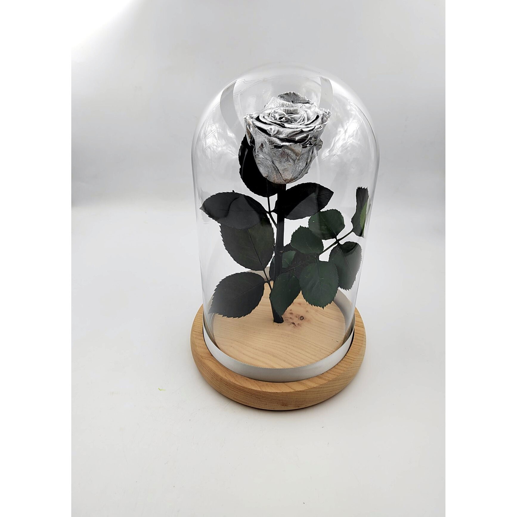 Trandafir Criogenat, argintiu, pe pat de petale, in cupola medie de ...