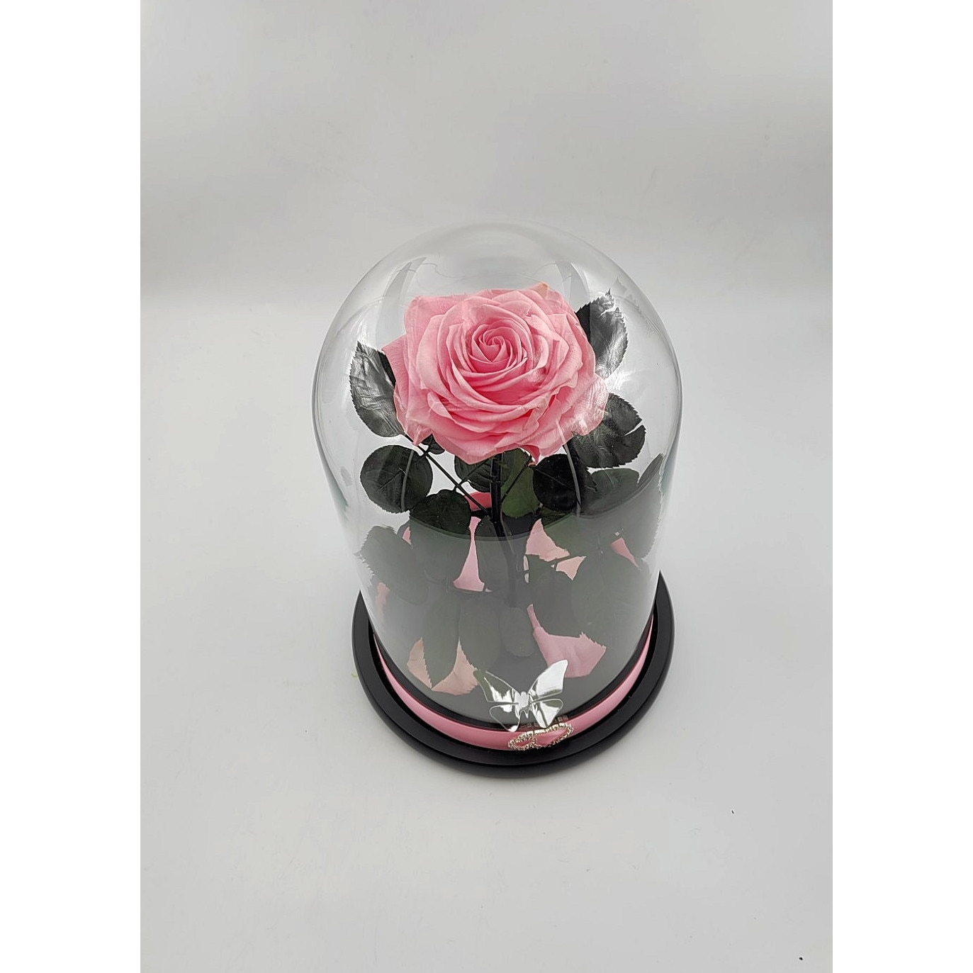 Trandafir criogenat mare, roz, in cupola mare de sticla cu baza neagra ...