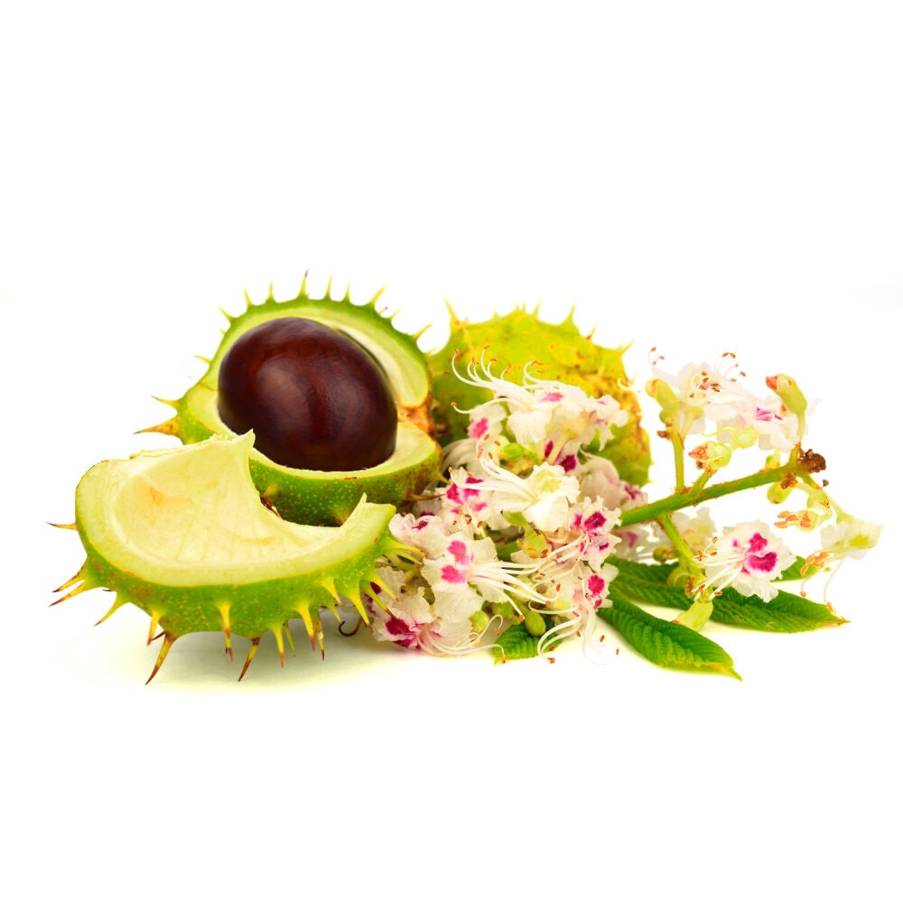 Антиварикозен лечебен крем за уморени крака с екстракт от кестен и хвощ ...