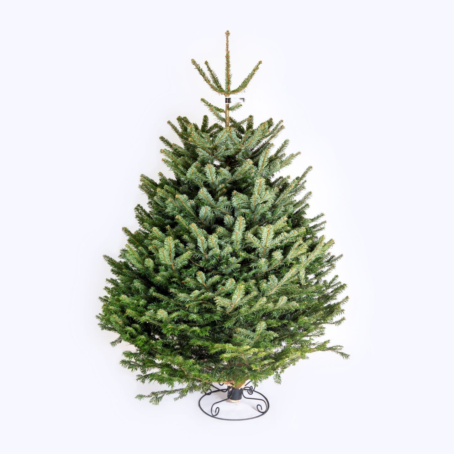 Brad natural Special edition 300-350cm - eMAG.ro