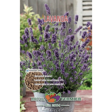 Seminte Lavanda si fertilizant 1 g - eMAG.ro