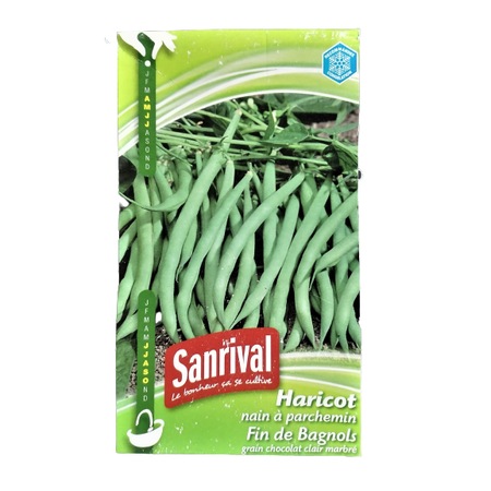 Samanta fasole pitica Sanrival Haricot Fin de Bagnols pastai verzi ...