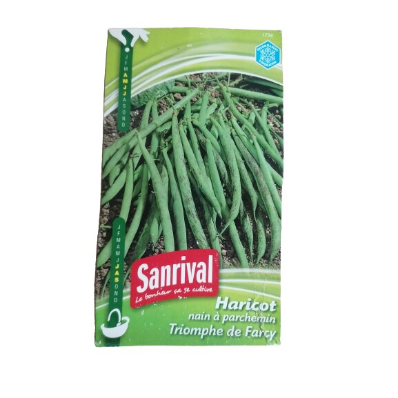 Samanta fasole pitica Sanrival Haricot Triomphe de Farcy pastai verzi ...