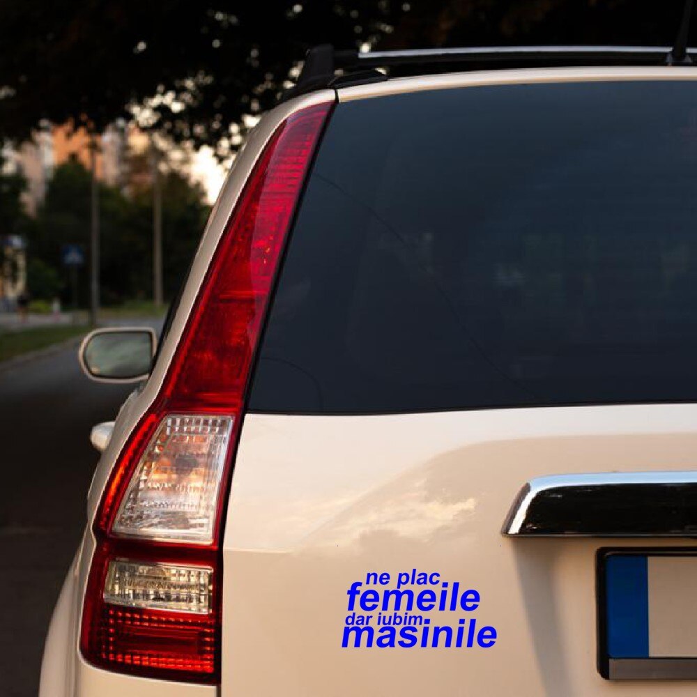 Sticker decorativ perete, auto si geam, Ne plac femeile dar iubim ...