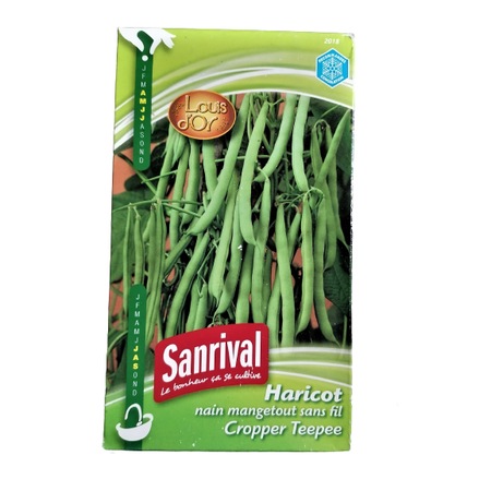 Samanta fasole pitica Sanrival Haricot Cropper Teepee pastai lungi ...