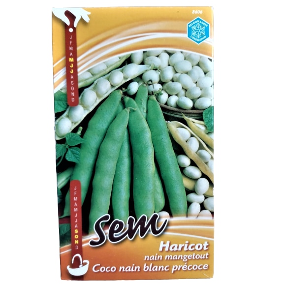 Samanta fasole pitica Sem Haricot Coco Nain Blanc Precoce pastai verzi ...