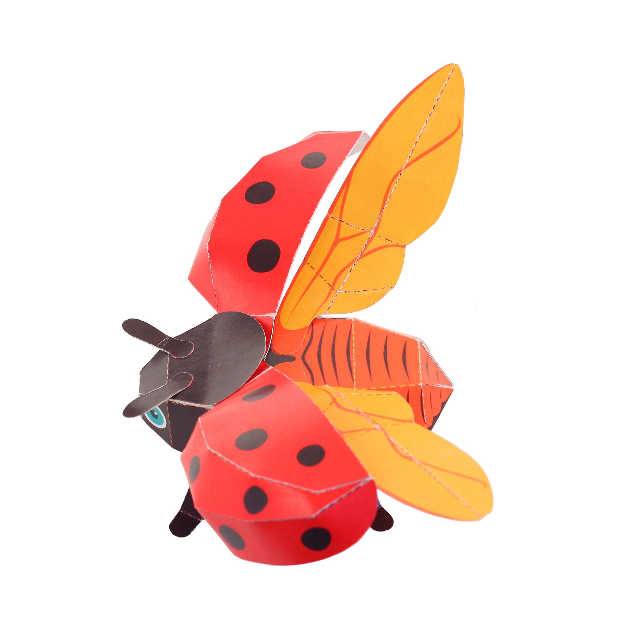 Kit craft de construit 4 insecte de jucarie PUKACA din hartie, prin ...