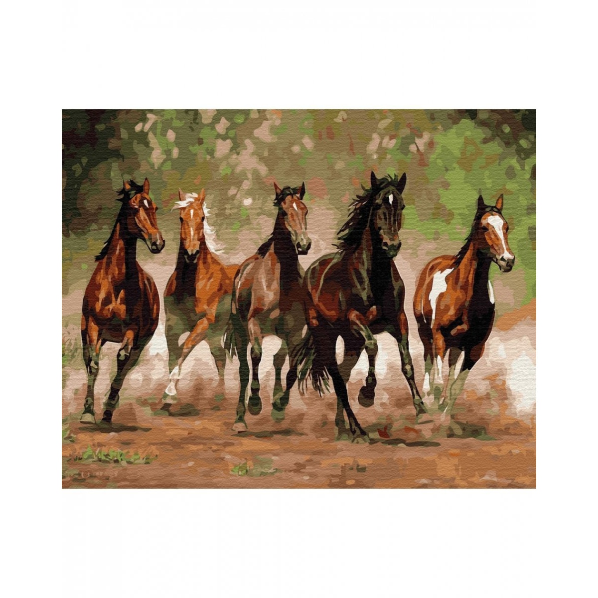 Set creativ pictura pe numere, Herghelie de cai, Moments, 40x50, Multicolor - eMAG.ro