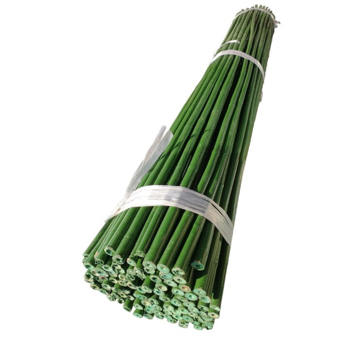 Set 500 araci din bambus Dixiestore, Acoperiti cu PVC, 90 cm, Verde ...
