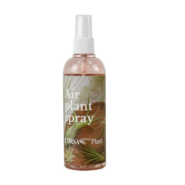 Spray plante, Dixiestone, Pentru tillandsia, 125 ml - eMAG.ro