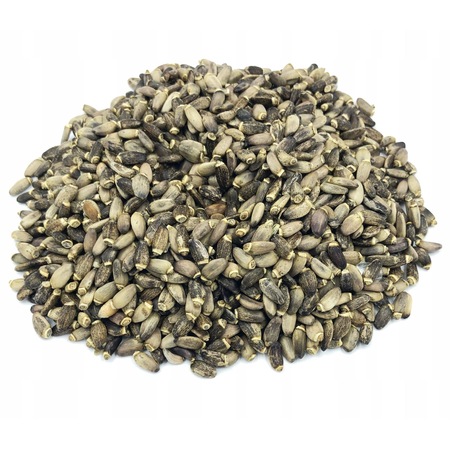 Seminte ciulin de lapte, 5 kg - eMAG.ro