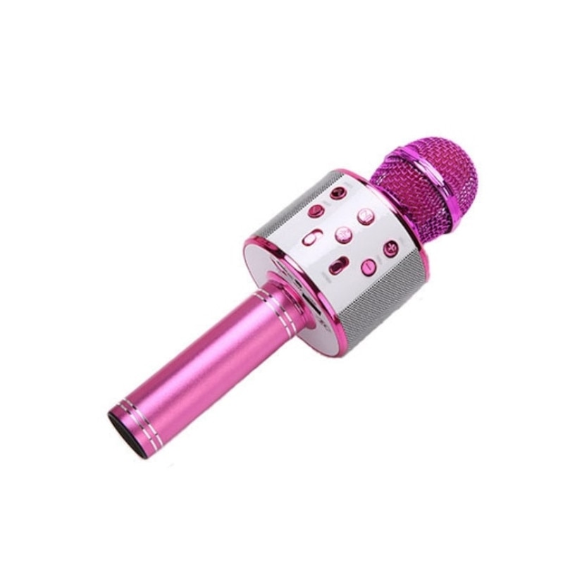 Microfon Karaoke Pentru Copii, Tnagora®, Wireless, Functie Ecou si Live ...