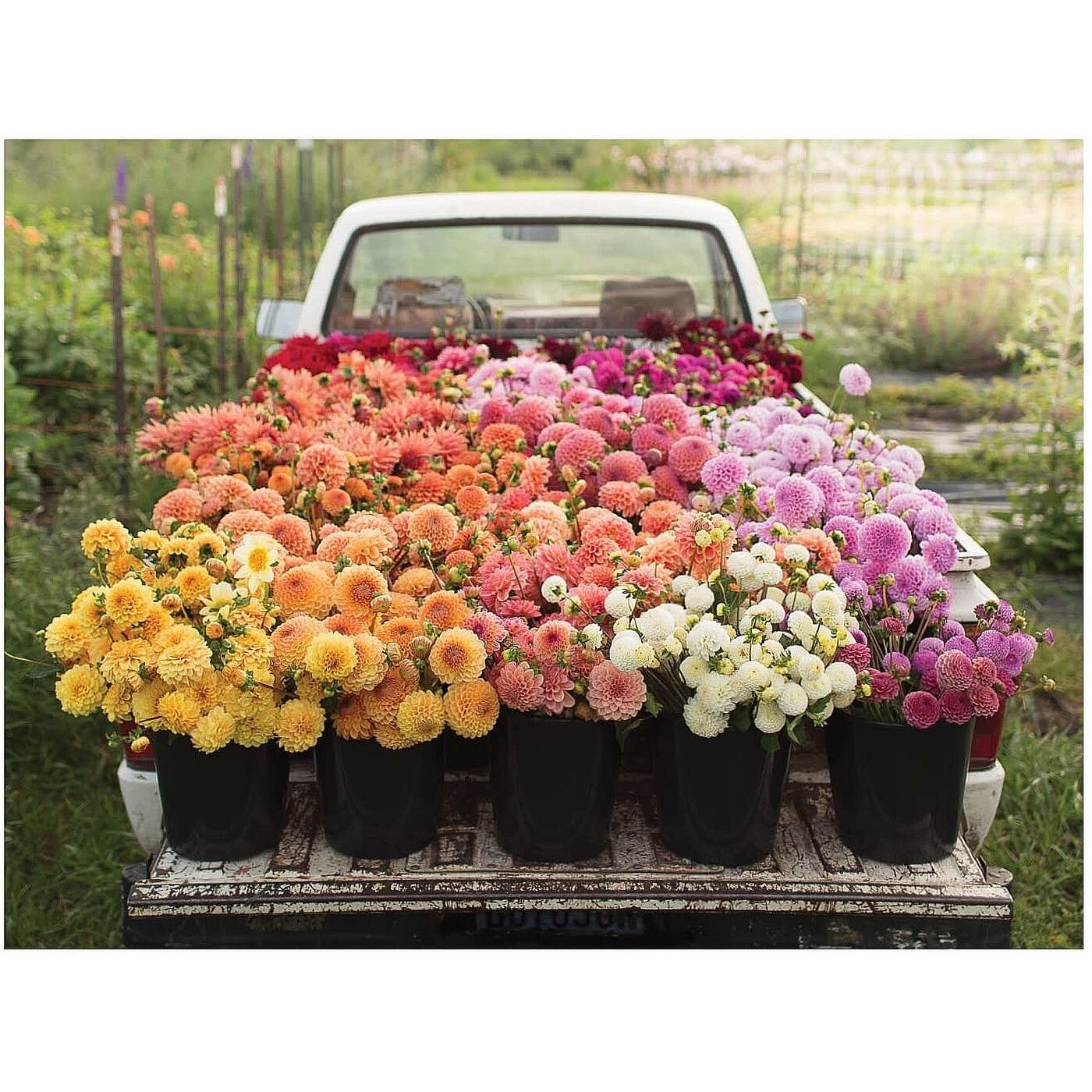 Puzzle cu 2 fete Galison de 500 de piese - Gradina cu flori - eMAG.ro