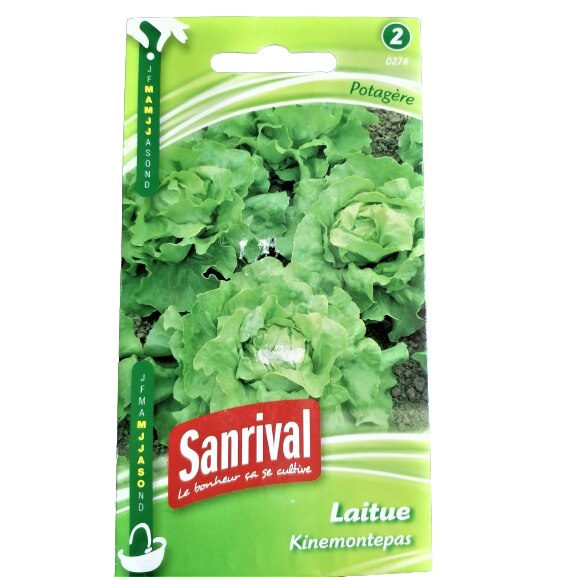 Sanrival Laitue Kinemontepas saláta magvak, vastag és ropogós levelek ...
