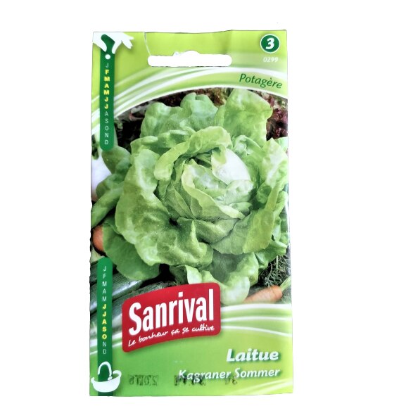 Seminte salata verde Sanrival Laitue Kagraner Sommer, frunze mari si ...