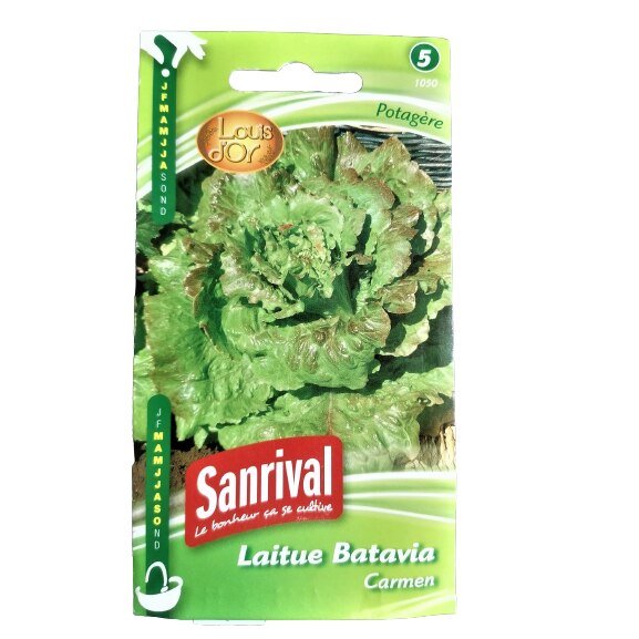 Seminte salata verde Sanrival Laitue Batavia Carmen, frunze groase si ...