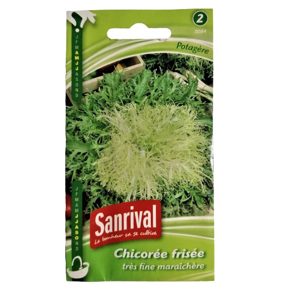 Seminte salata creata Sanrival Chicoree Frisee Tres Fine Maraichere ...