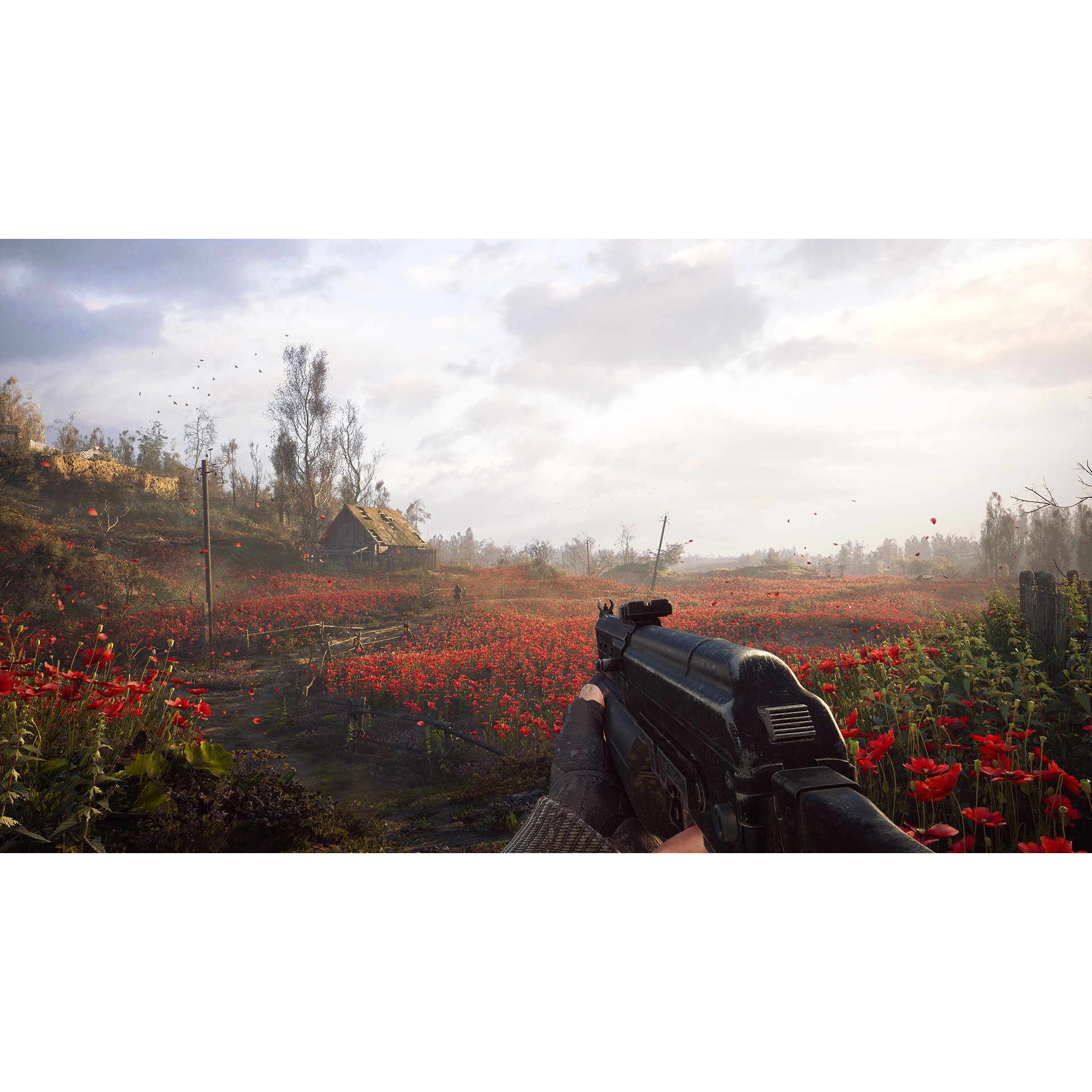Joc S.t.a.l.k.e.r. 2 Heart Of Chernobyl Pentru Xbox Series X - eMAG.ro