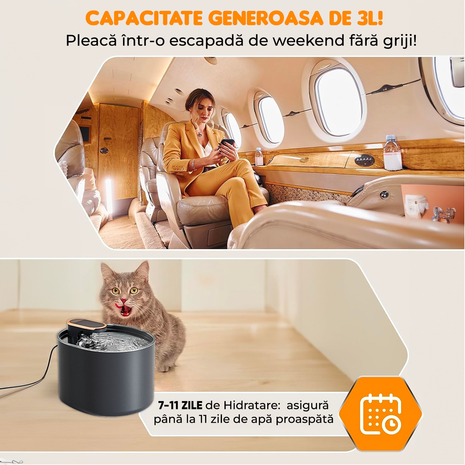 Dispenser apa automat tip fantana pentru pisici si caini, cu purificare ...