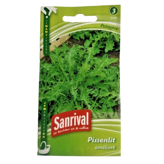 Seminte papadie Sanrival Pissenlit Ameliore, frunze pentru salata, 0 ...