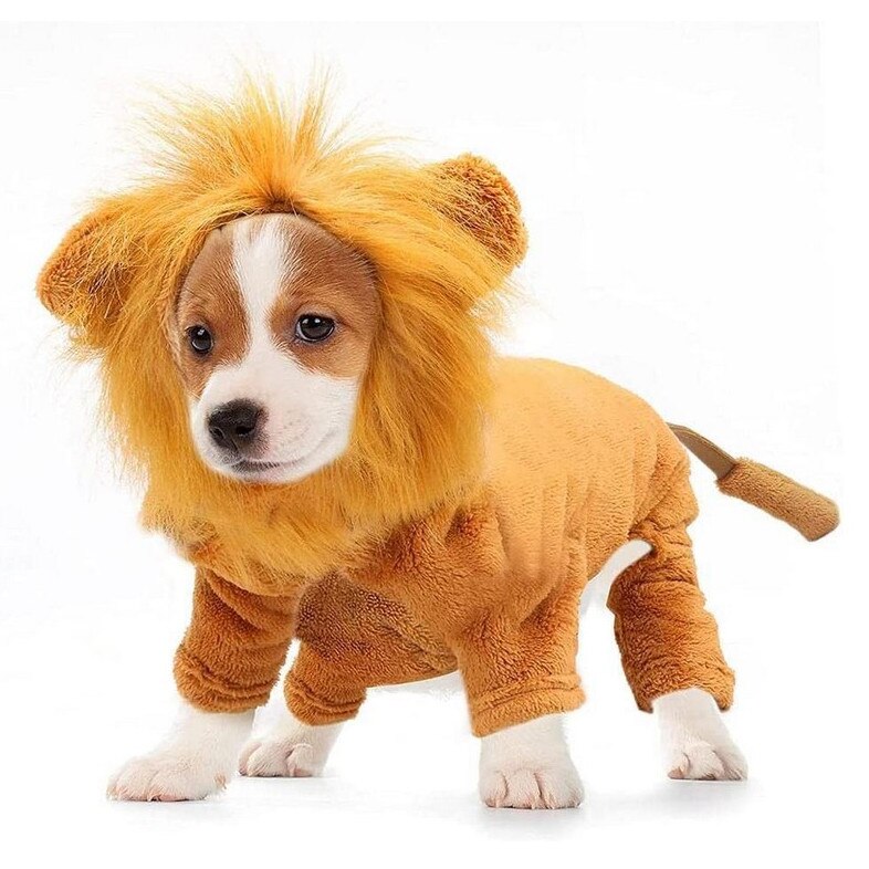 Costum haios, PROpets, Leu, pentru caini, pisici si alte animale de ...