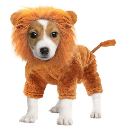 Costum haios, PROpets, Leu, pentru caini, pisici si alte animale de ...