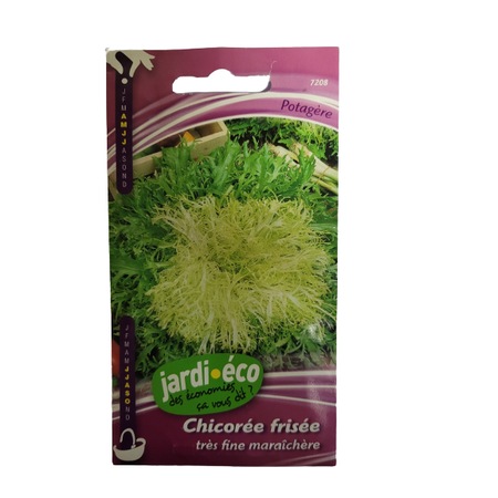 Seminte salata verde creata Jardi Eco Chicoree Frisee Tres Fine ...